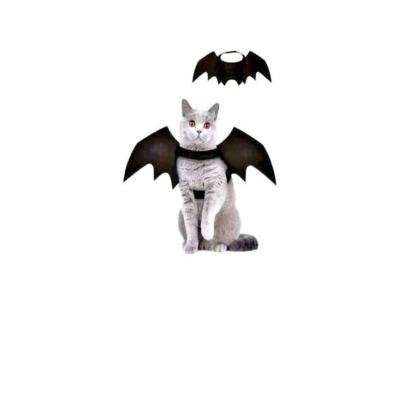 Cat | Pet Cat Bat Costume Wings For Halloween Party Decoration Cat ...